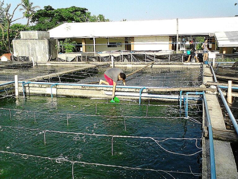 Institute of Aquaculture – College of Fisheries and Ocean Sciences (CFOS)